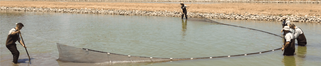 Sacramento-Yolo Mosquito & Vector Control - District Jobs