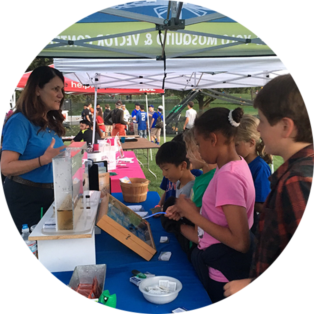 Mosquito & Vector Control - Sacramento-Yolo Mosquito & Vector Control