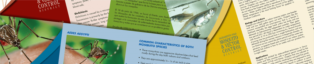 PUBLICATIONS - Sacramento-Yolo Mosquito & Vector Control