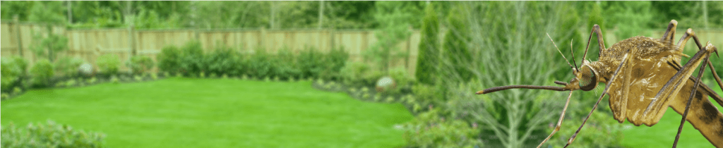 WHAT IS A VECTOR? - Sacramento-Yolo Mosquito & Vector Control