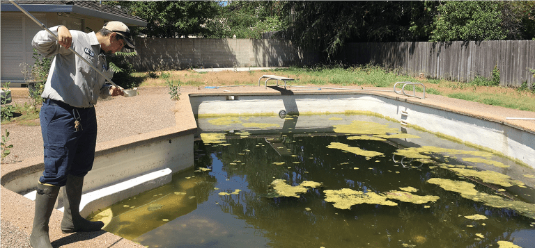 Sacramento-Yolo Mosquito & Vector Control | Mosquito Removal