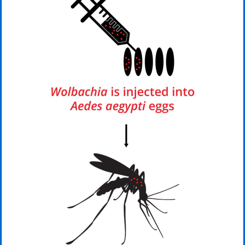 SIT - Sacramento-Yolo Mosquito & Vector Control