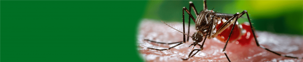 Eco-Friendly Mosquito Control - Sacramento-Yolo Mosquito & Vector Control